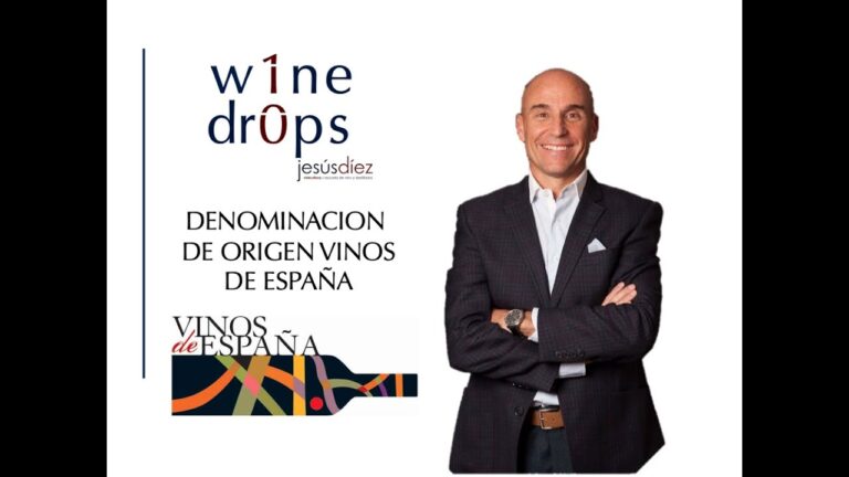 Descubre las principales denominaciones de origen del vino en España ...